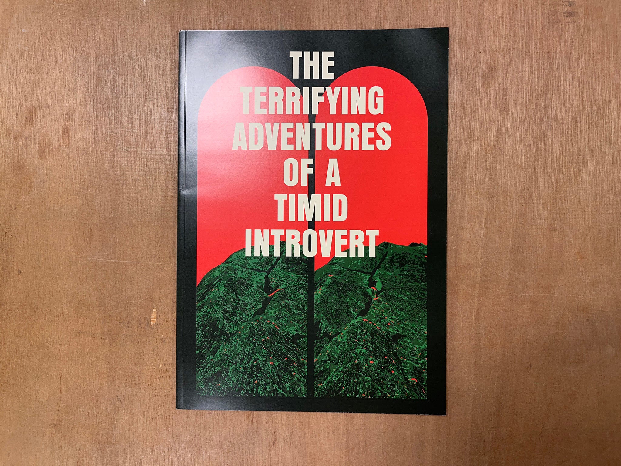 THE TERRIFYING ADVENTURES OF A TIMID INTROVERT by James Blagden – Good ...