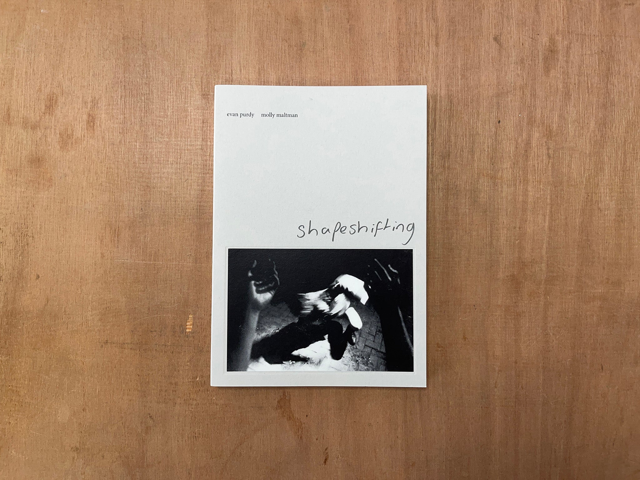 SHAPESHIFTING by evan purdy & molly maltman – Good Press — good books & more