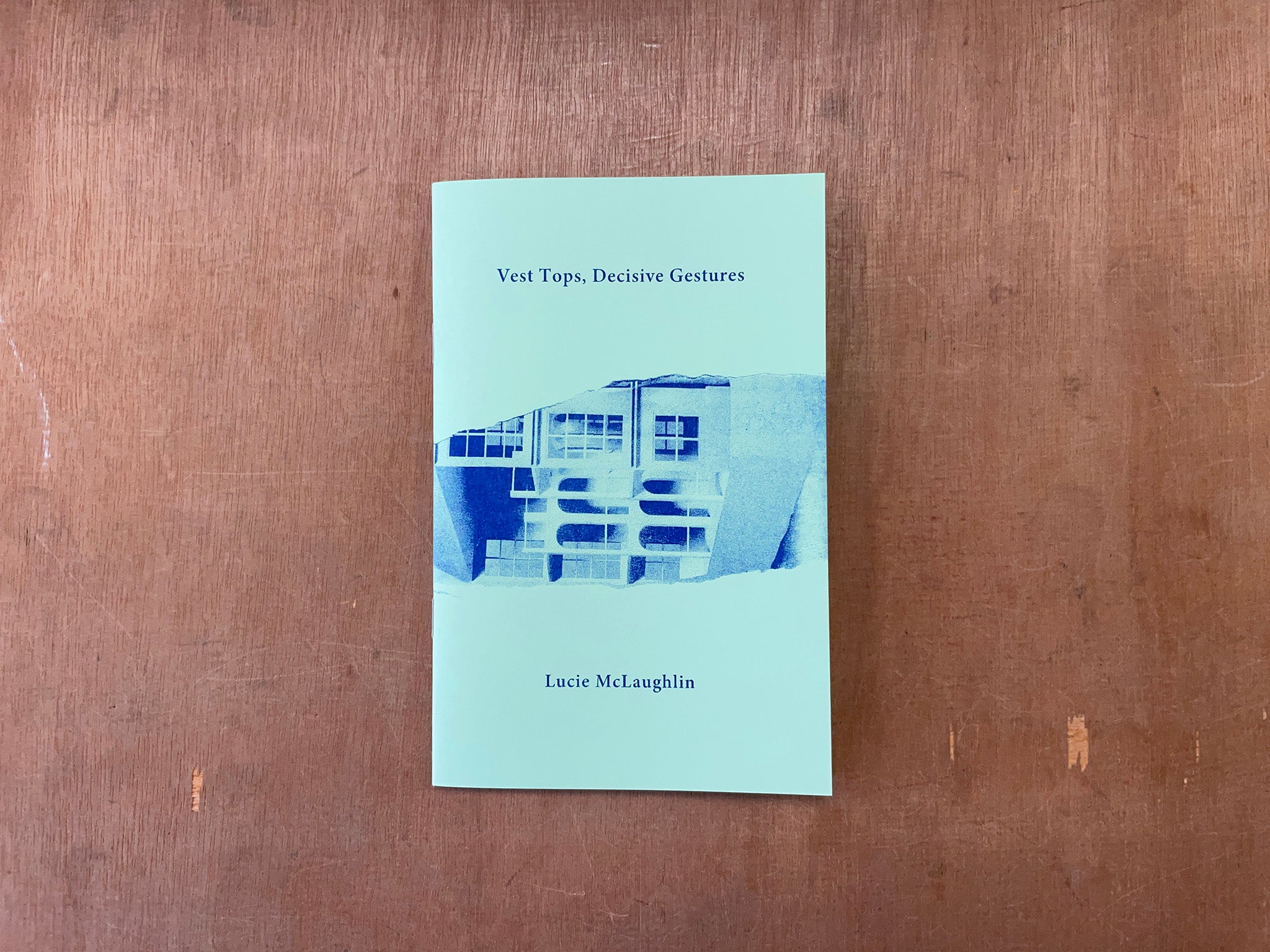 VEST TOPS, DECISIVE GESTURES by Lucie McLaughlin – Good Press — good ...