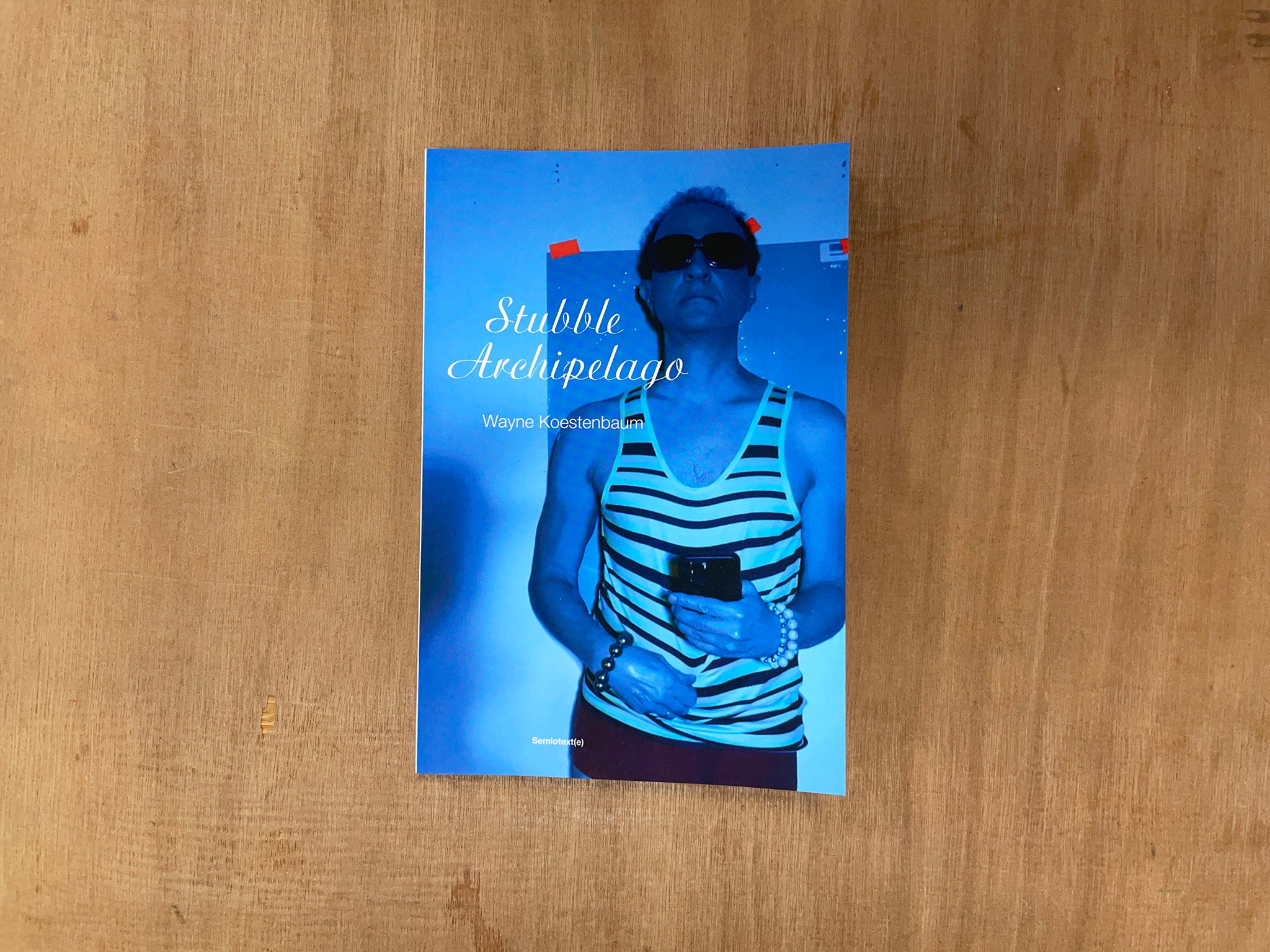 STUBBLE ARCHIPELAGO by Wayne Koestenbaum – Good Press — good books & more