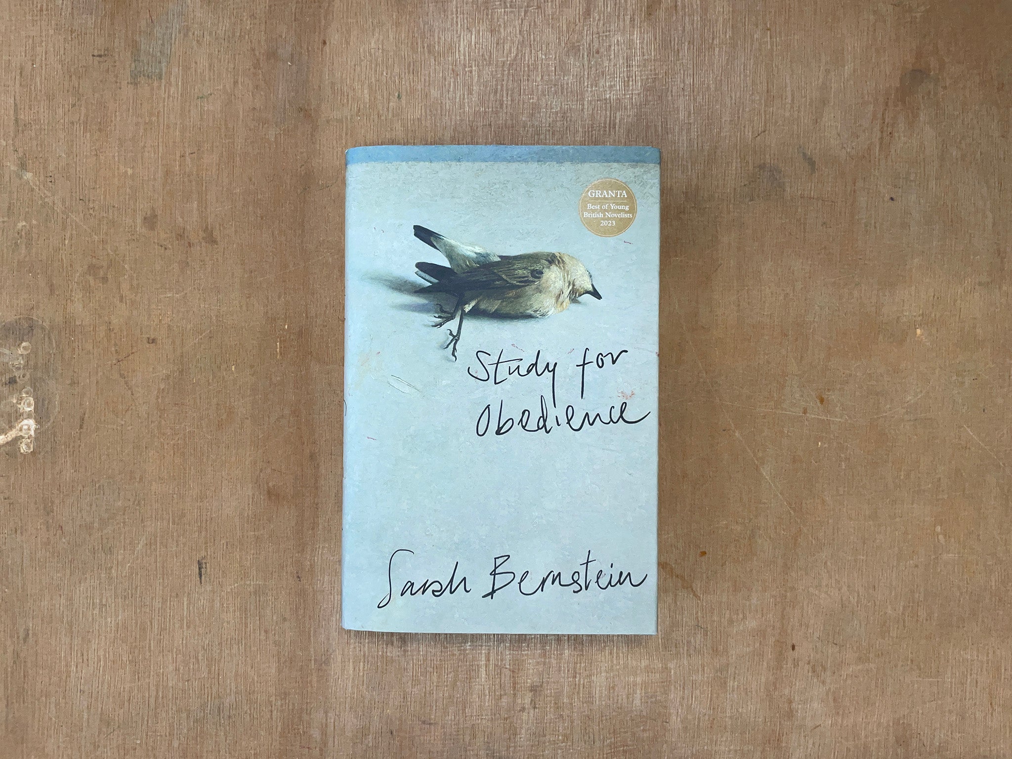 STUDY FOR OBEDIENCE by Sarah Bernstein – Good Press — good books & more