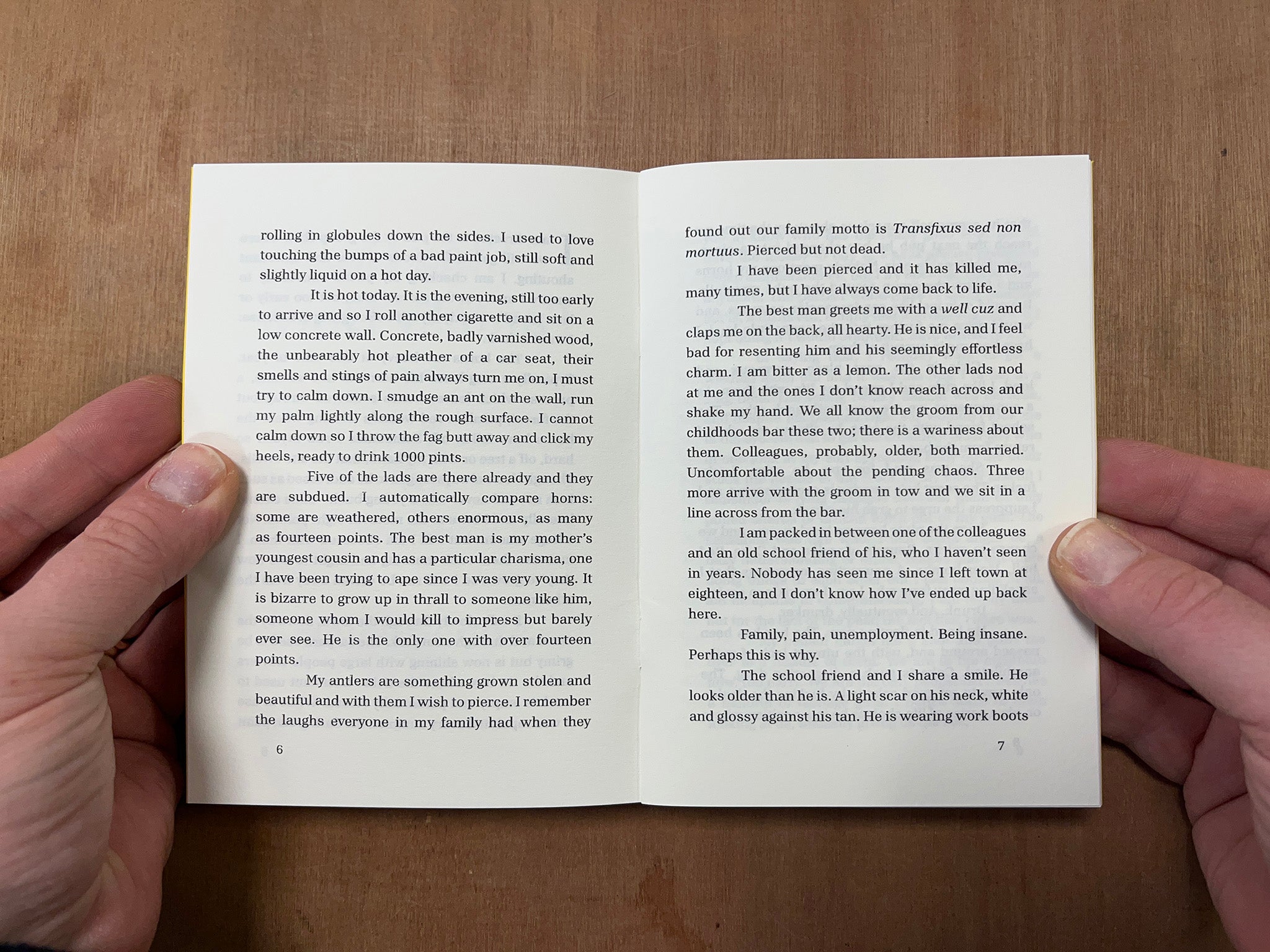 STAG DO/FANTASY HORN by Anna Walsh – Good Press — good books & more
