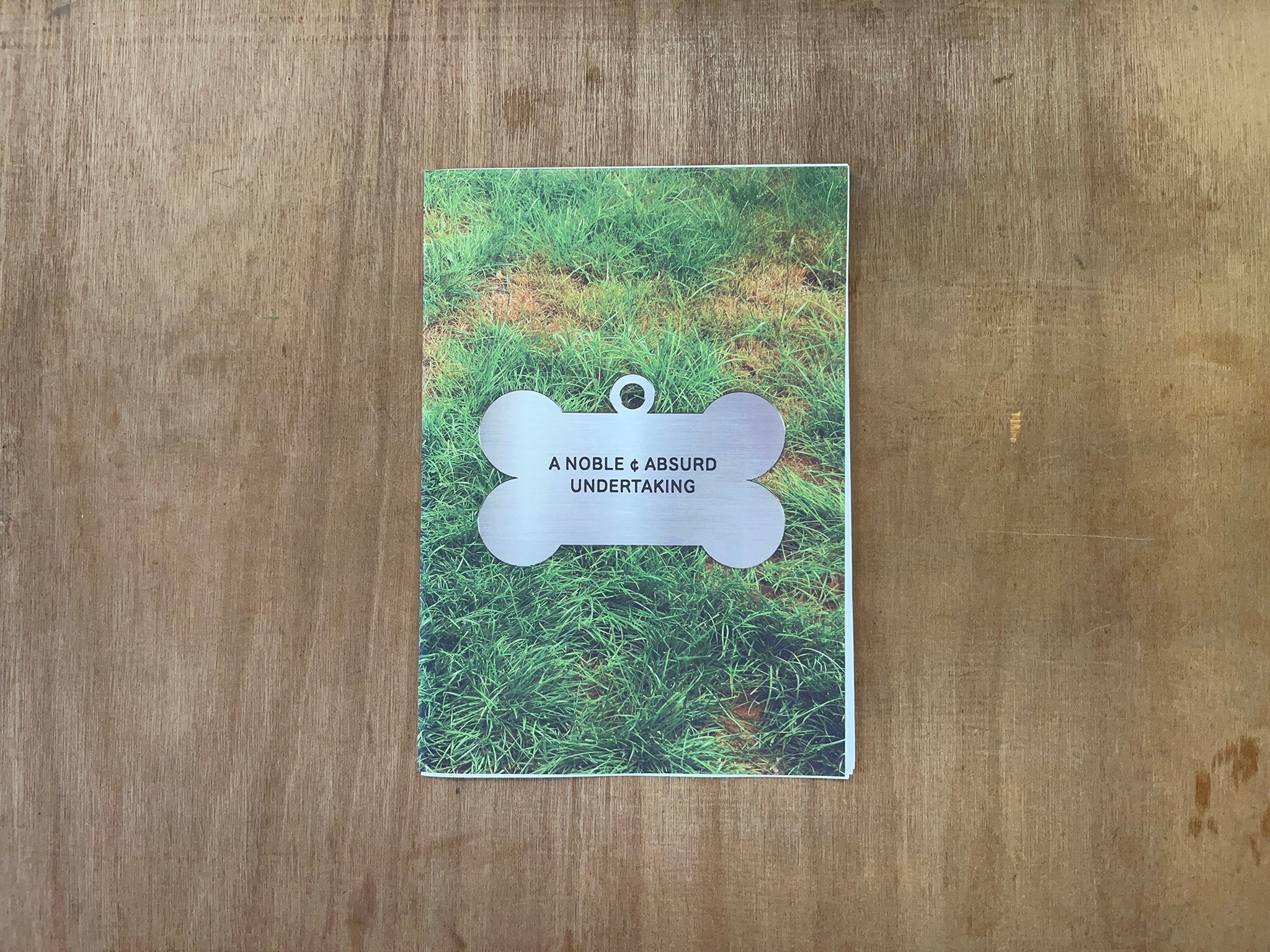 A NOBLE & ABSURD UNDERTAKING by Bea Woolner & Maya Howard – Good Press ...