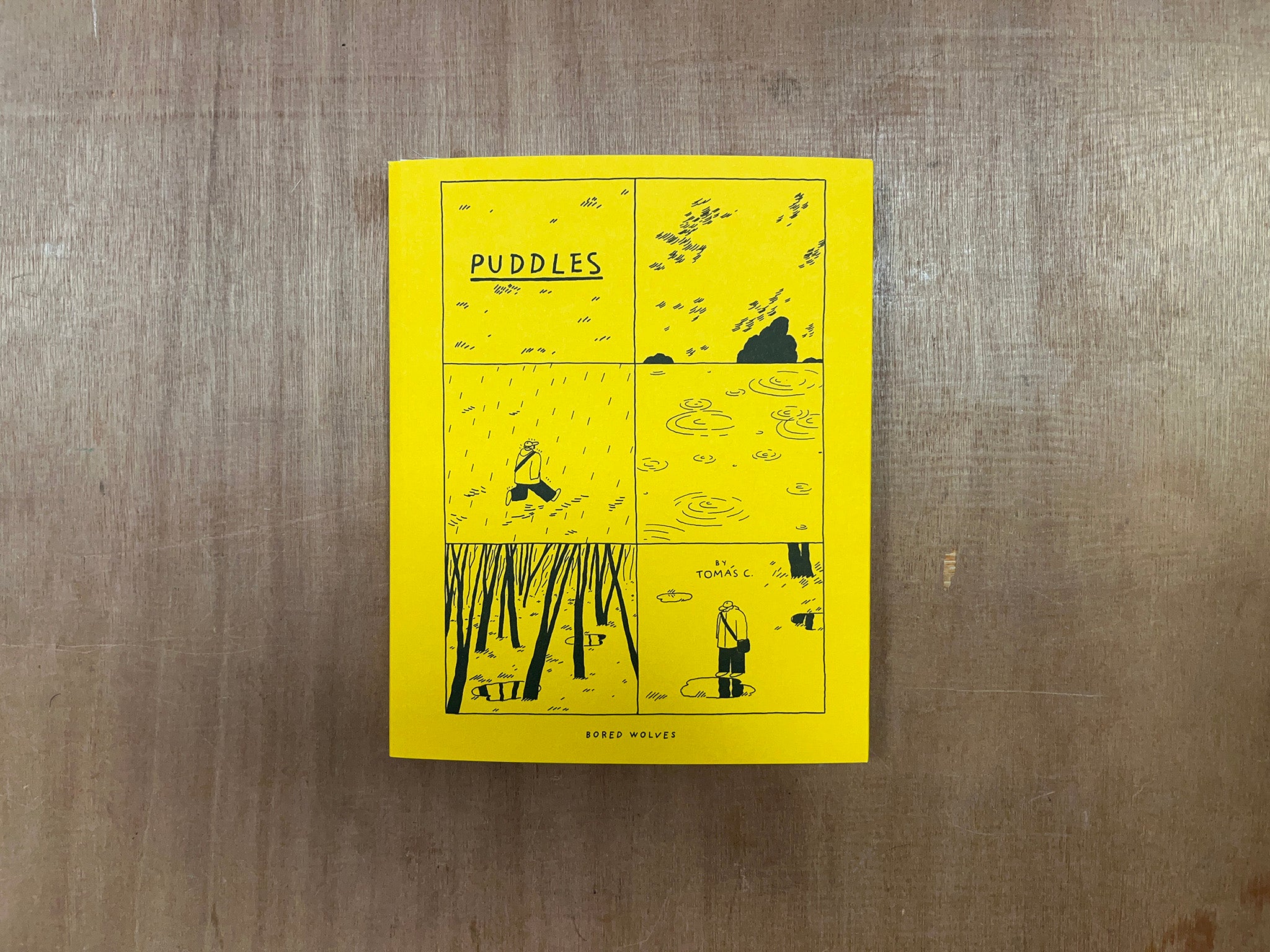 PUDDLES by Tomás Cisternas – Good Press — good books & more
