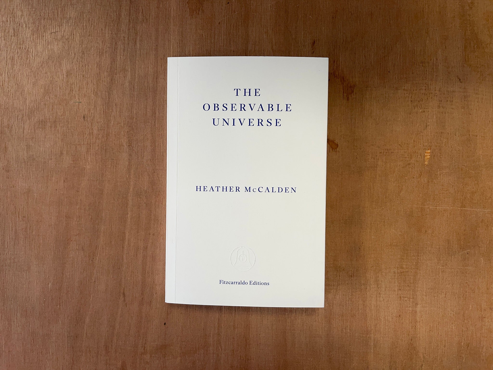 THE OBSERVABLE UNIVERSE by Heather McCalden – Good Press — good books ...
