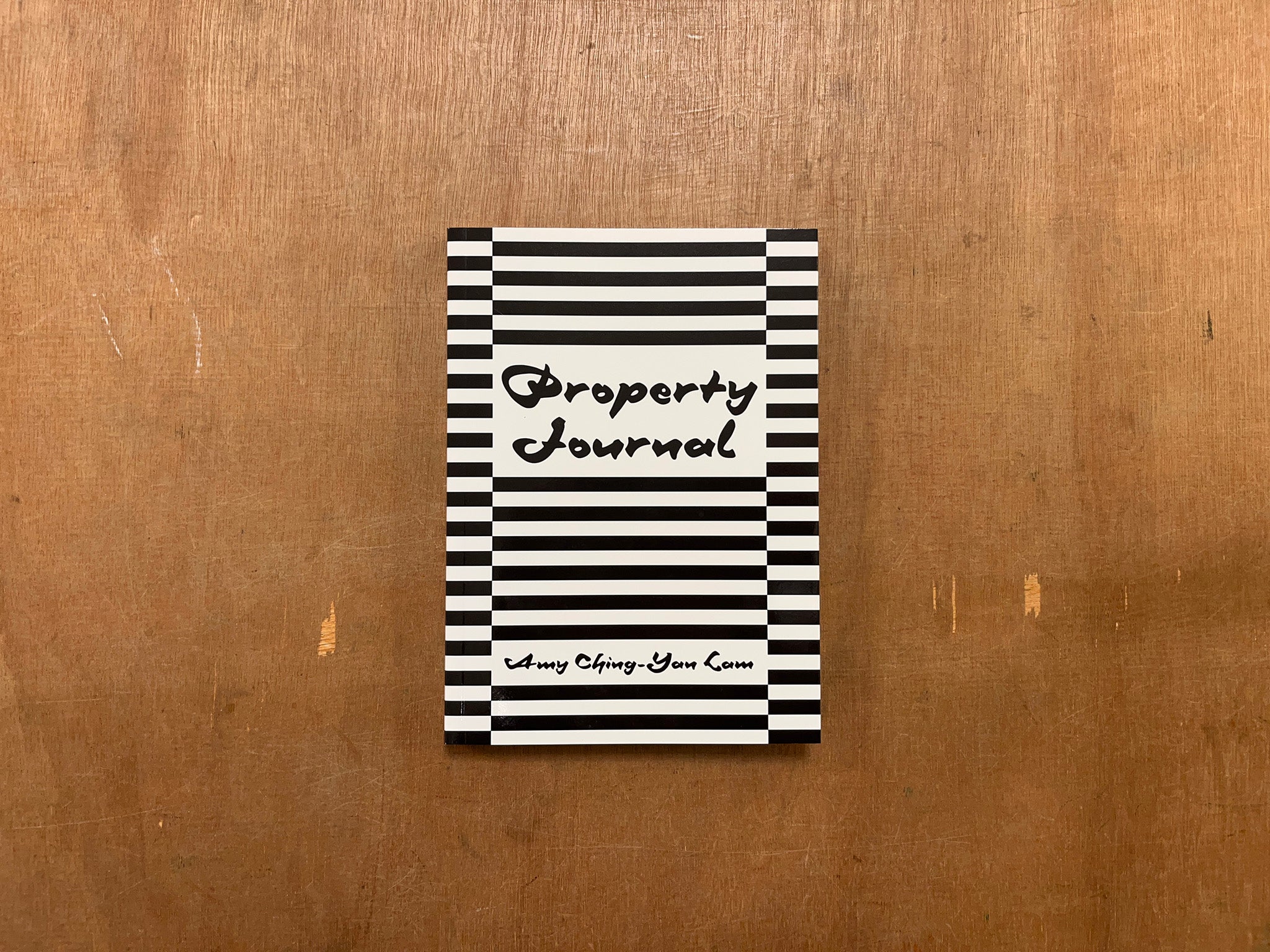 PROPERTY JOURNAL by Amy Ching-Yan Lam – Good Press — good books & more