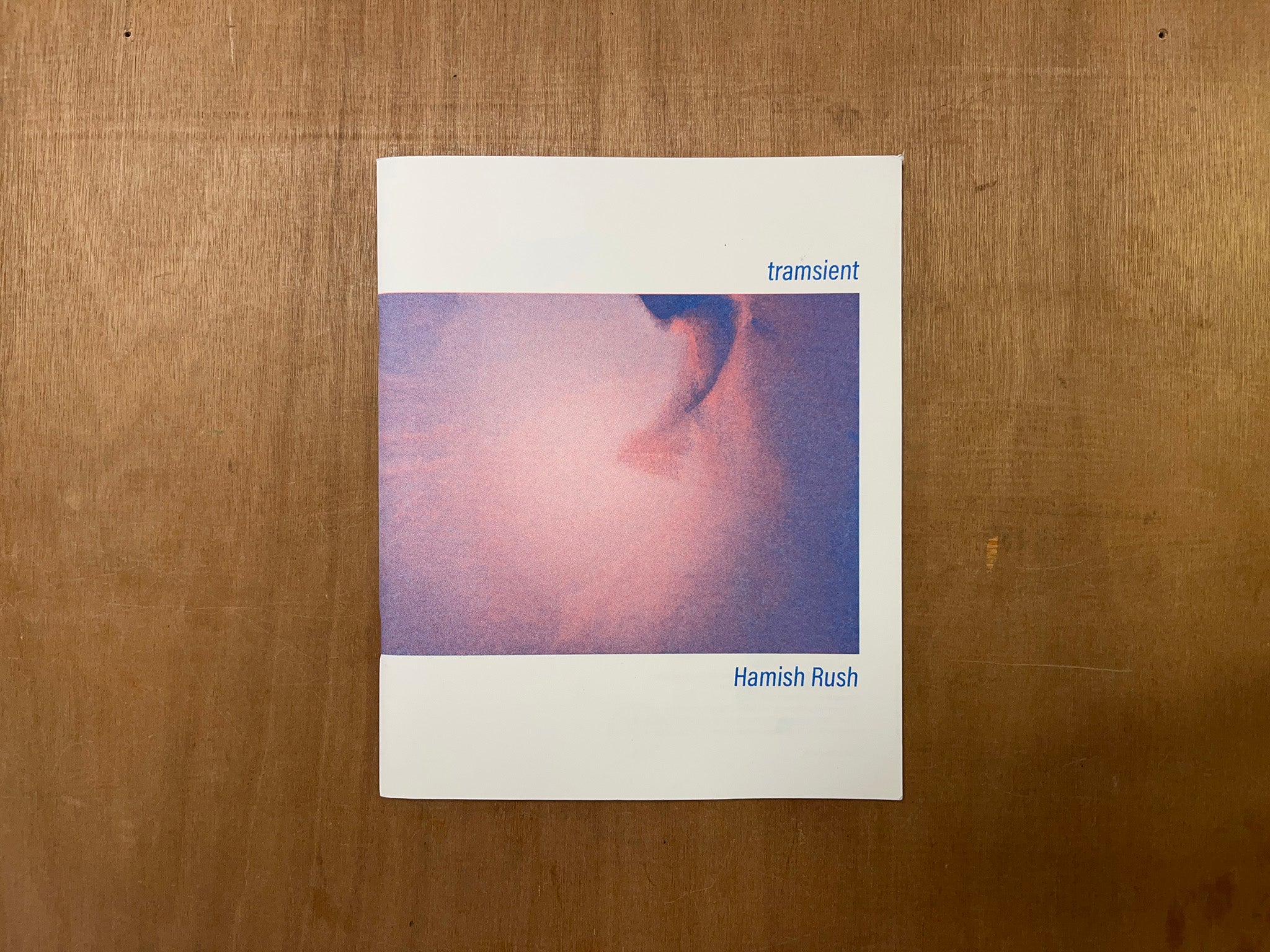 TRAMSIENT by Hamish Rush – Good Press — good books & more