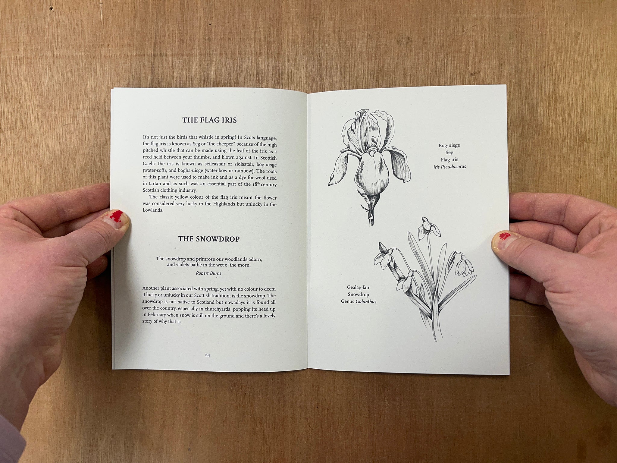 SEASONAL FOLKLORE: SPRING by Eileen Budd – Good Press — good books & more