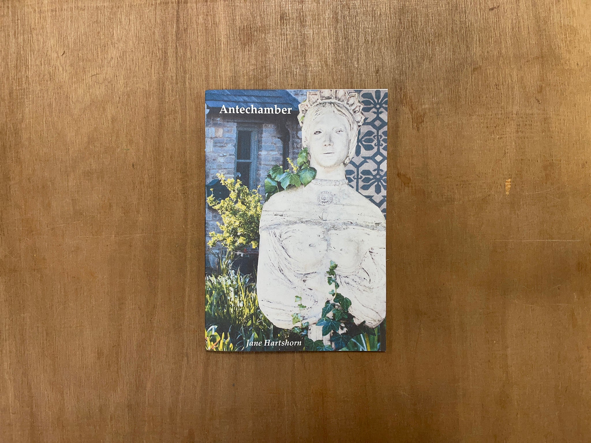 ANTECHAMBER by Jane Hartshorn – Good Press — good books & more