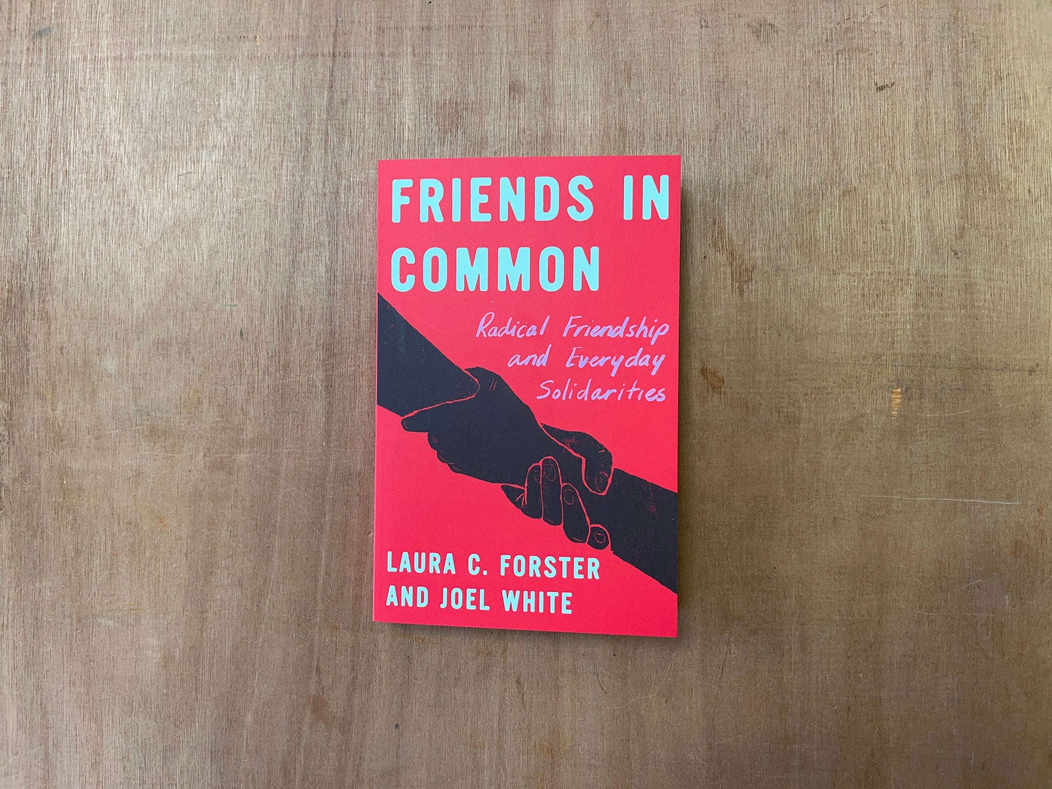 FRIENDS IN COMMON: RADICAL FRIENDSHIP AND EVERYDAY SOLIDARITIES by Lau ...