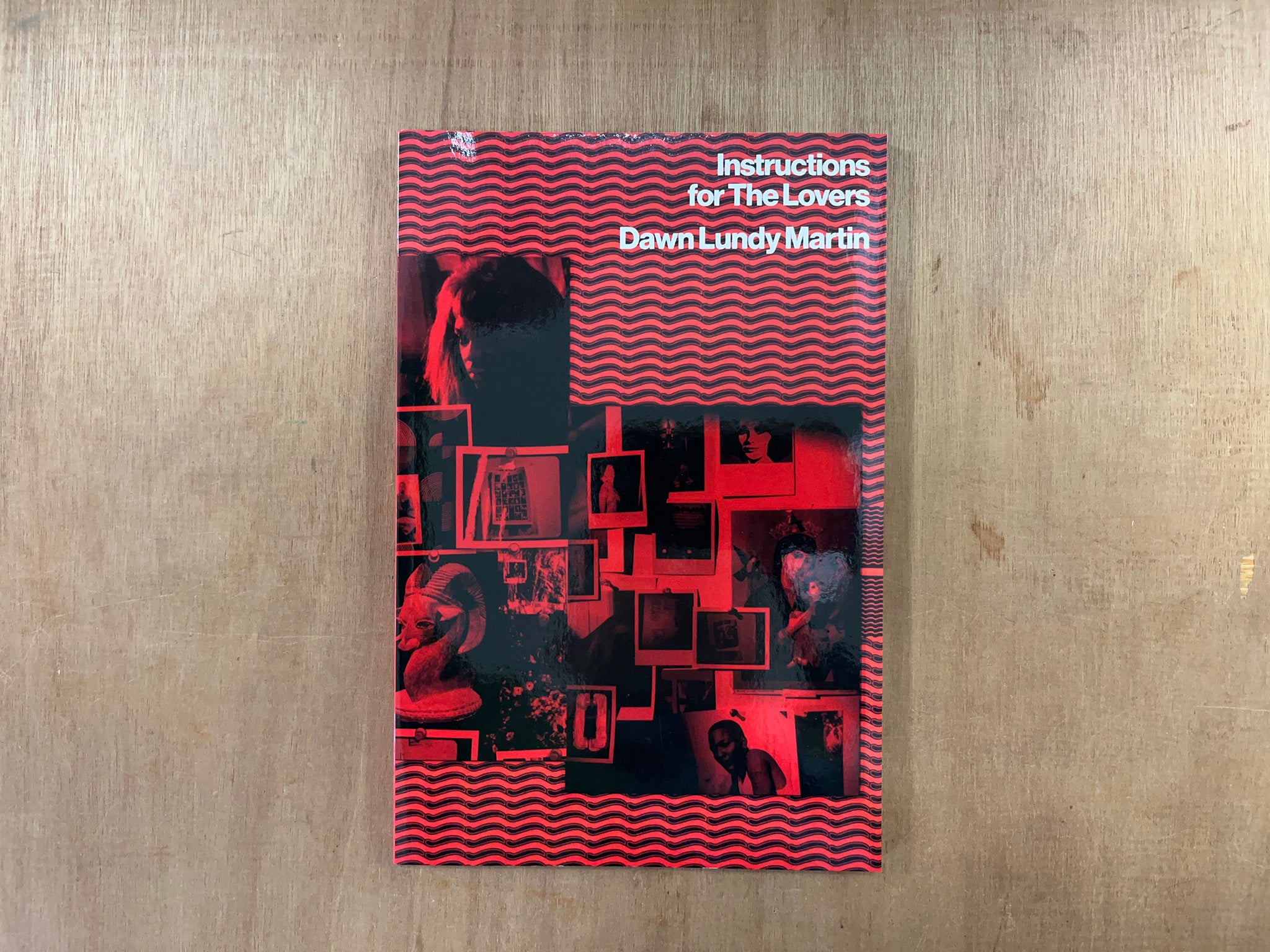 INSTRUCTIONS FOR THE LOVERS by Dawn Lundy Martin – Good Press — good ...