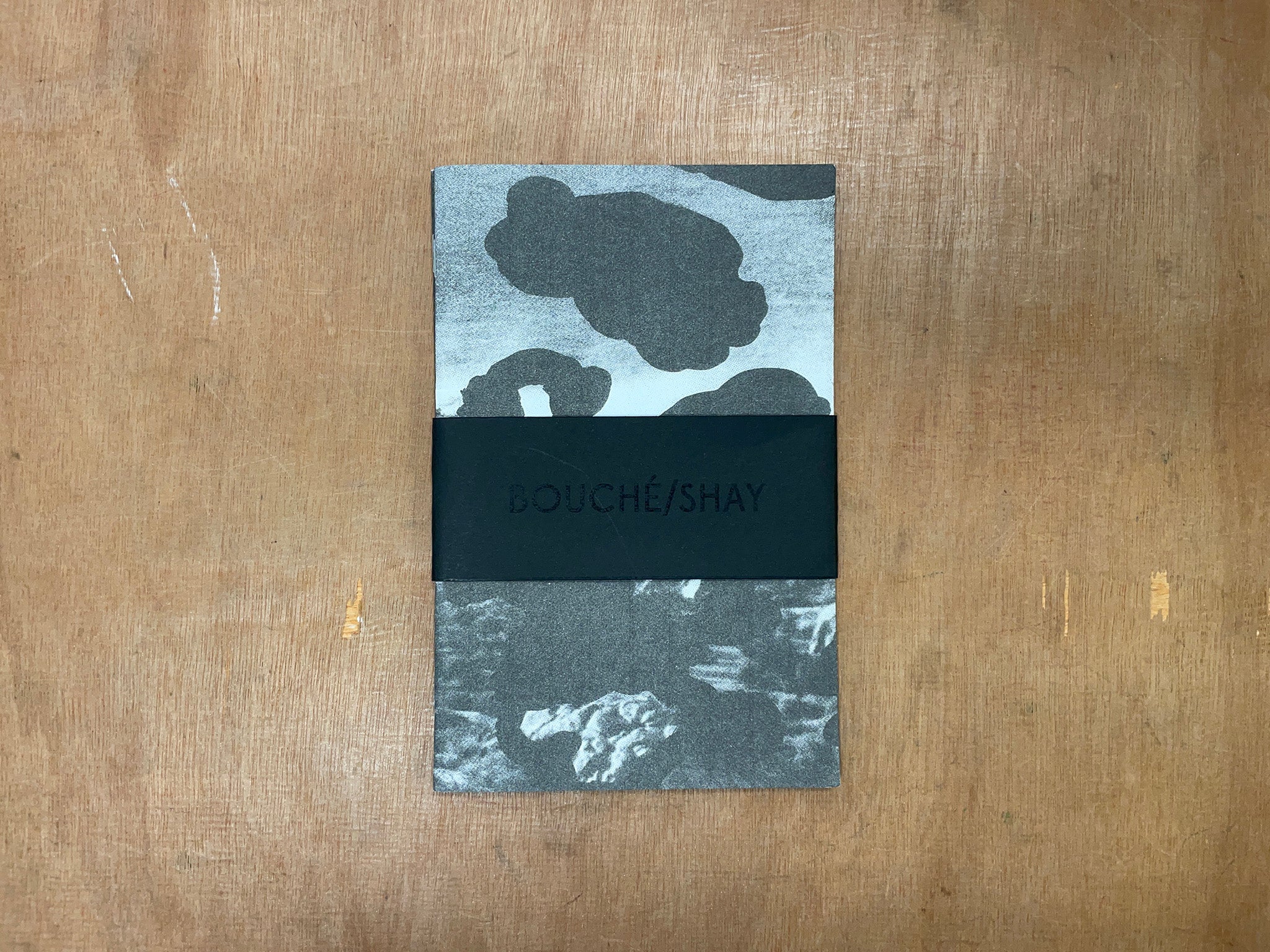 BOUCHÉ/SHAY by Ginevra Shay and James Bouché – Good Press — good books ...