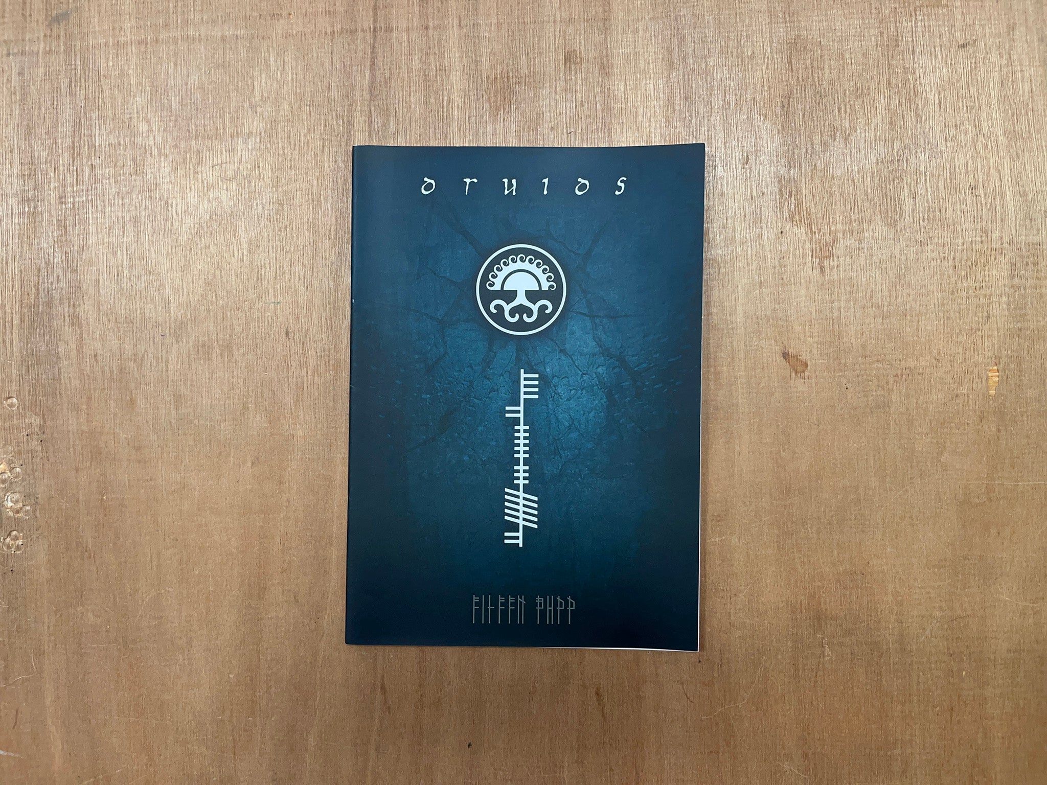 DRUIDS by Eileen Budd – Good Press — good books & more