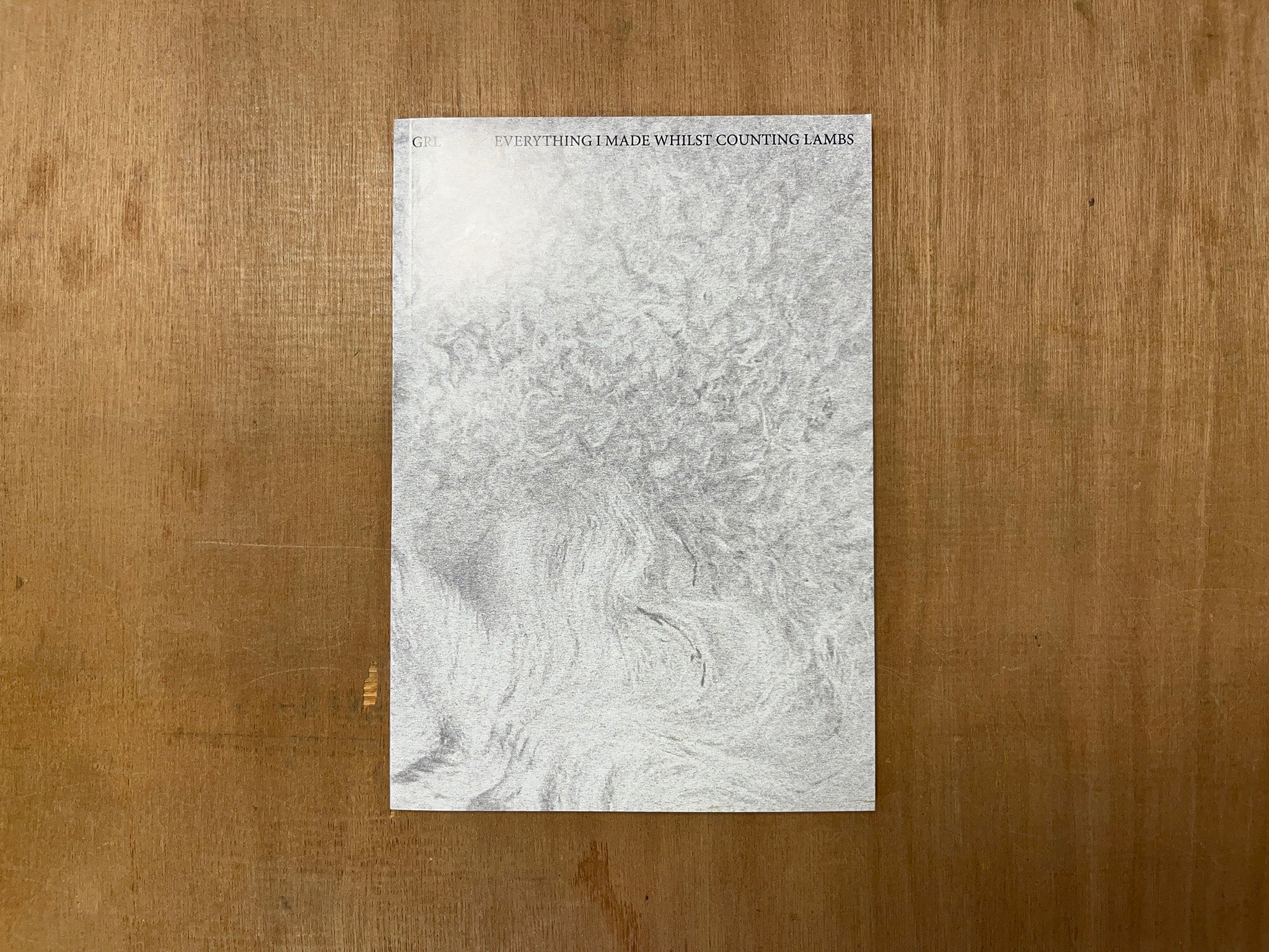 EVERYTHING I MADE WHILST COUNTING LAMBS by Georgia R Lawrence – Good ...