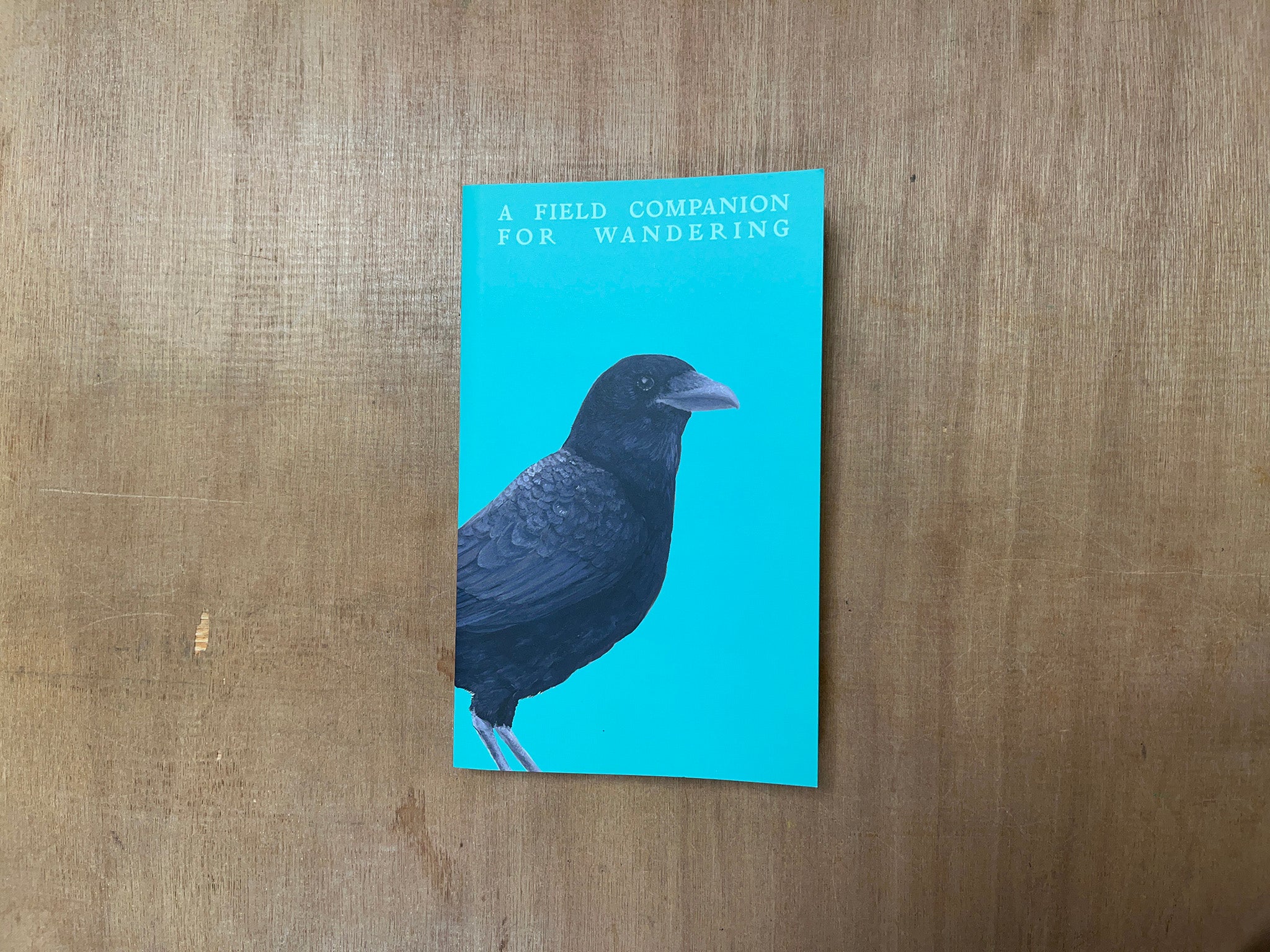 A FIELD COMPANION FOR WANDERING by Conner Bouchard-Roberts – Good Press ...