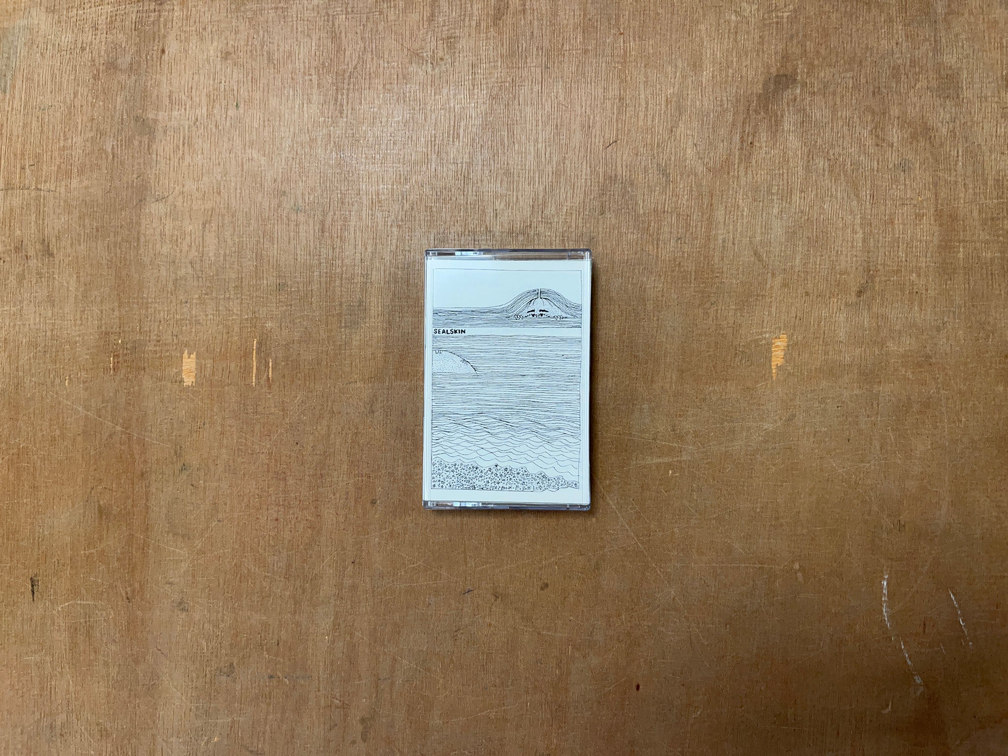 SEALSKIN by Beth Robertson – Good Press — good books & more