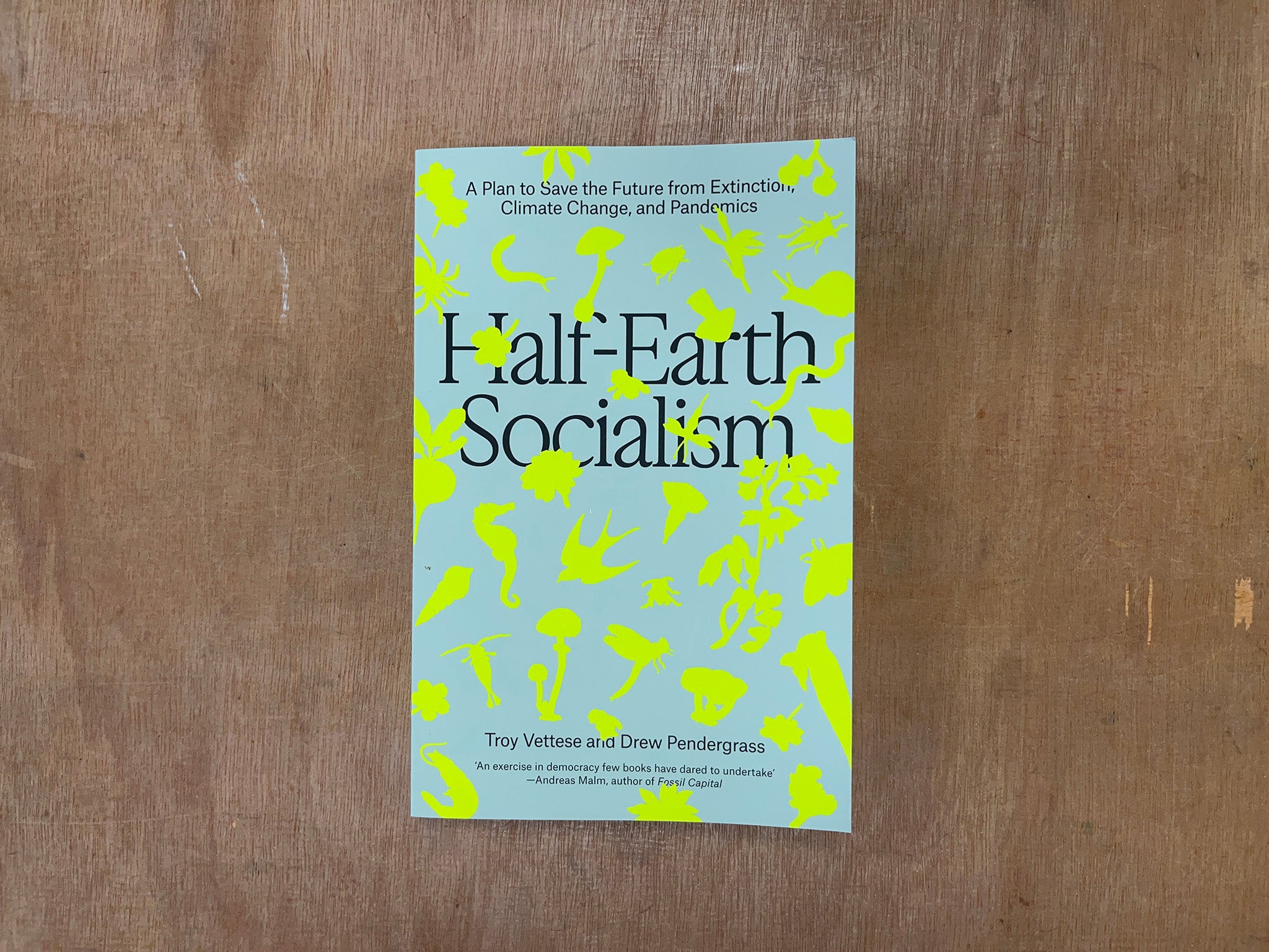 HALF-EARTH SOCIALISM by Drew Pendergrass & Troy Vettese – Good Press ...
