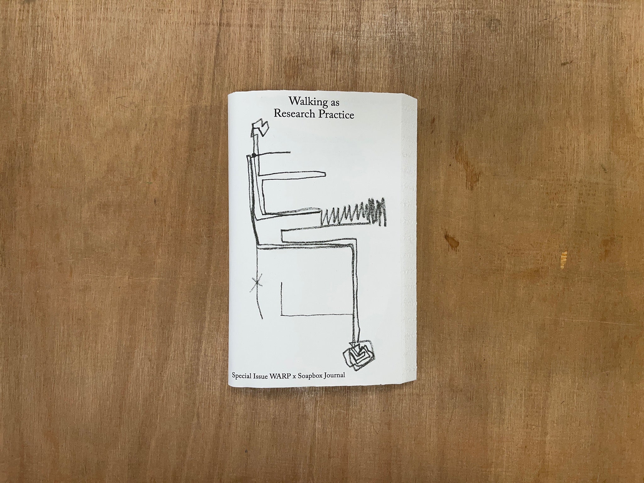 WALKING AS RESEARCH PRACTICE by Soapbox Journal (Eds.) – Good Press ...