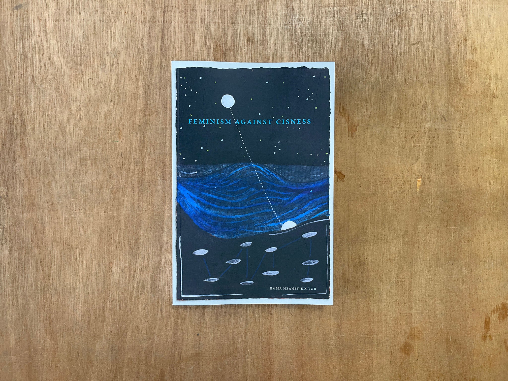 FEMINISM AGAINST CISNESS Edited by Emma Heaney – Good Press — good ...