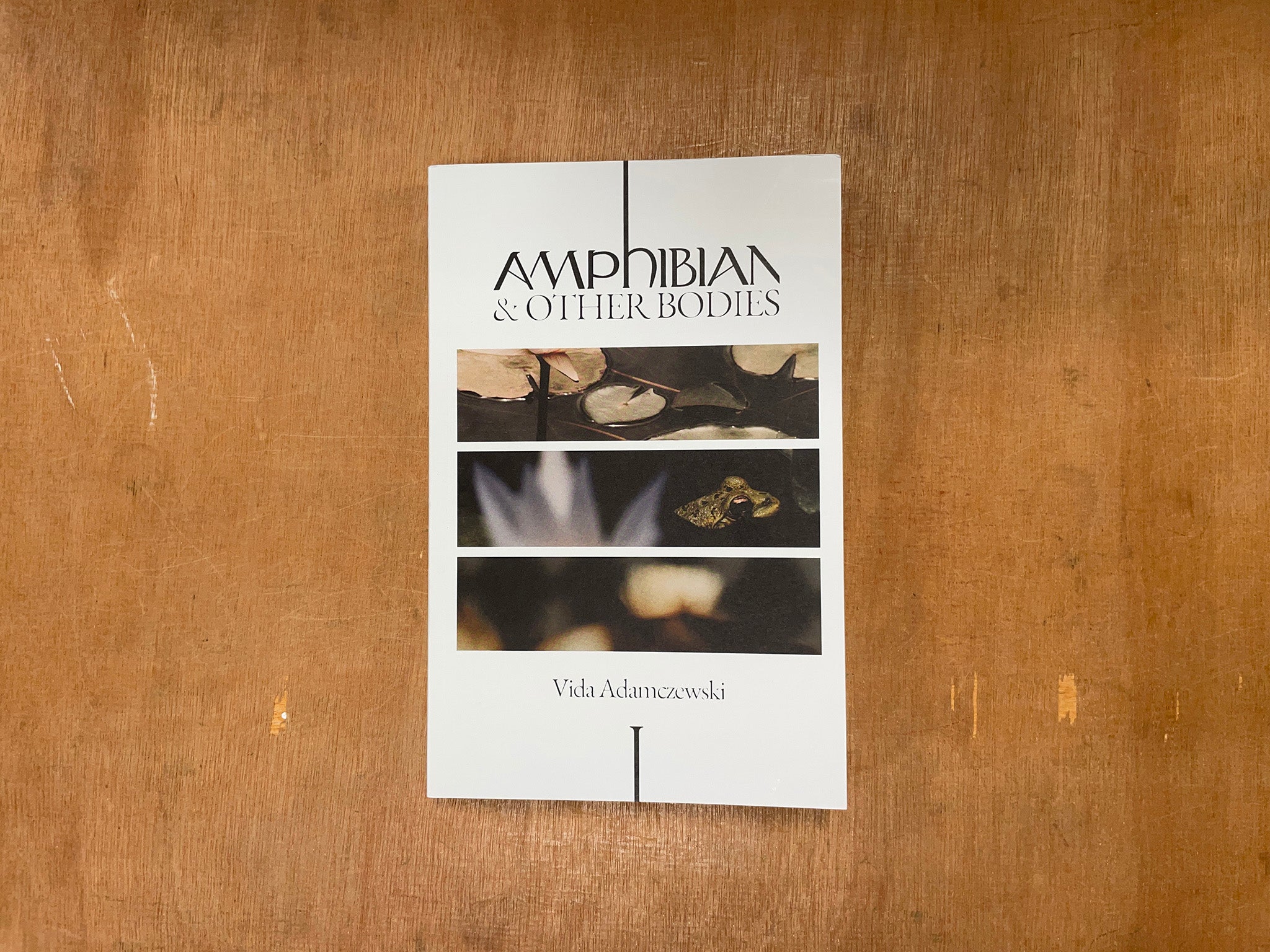 AMPHIBIAN & OTHER BODIES by Vida Adamczewski – Good Press — good books ...