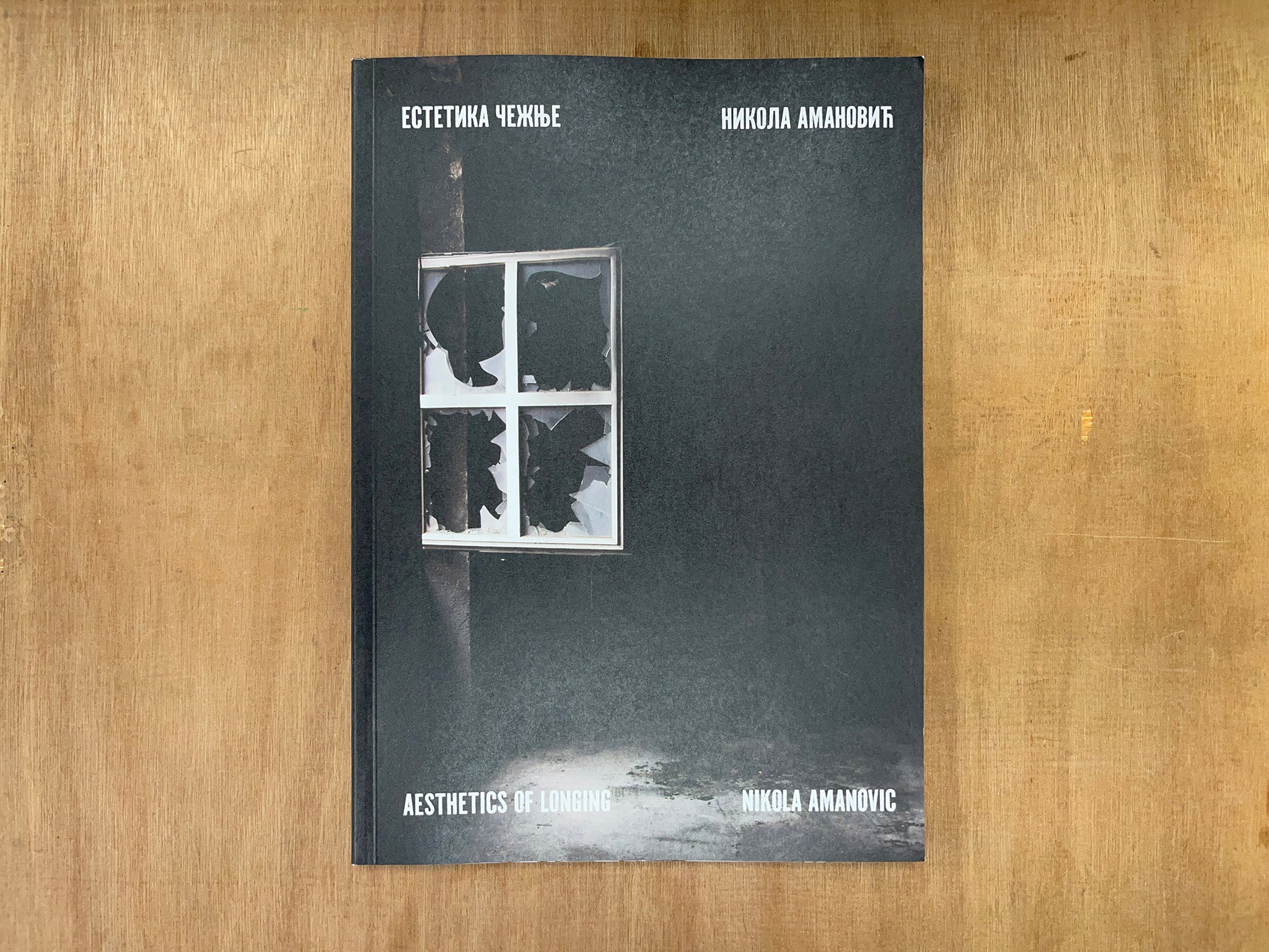 AESTHETICS OF LONGING by Nikola Amanovic – Good Press — good books & more