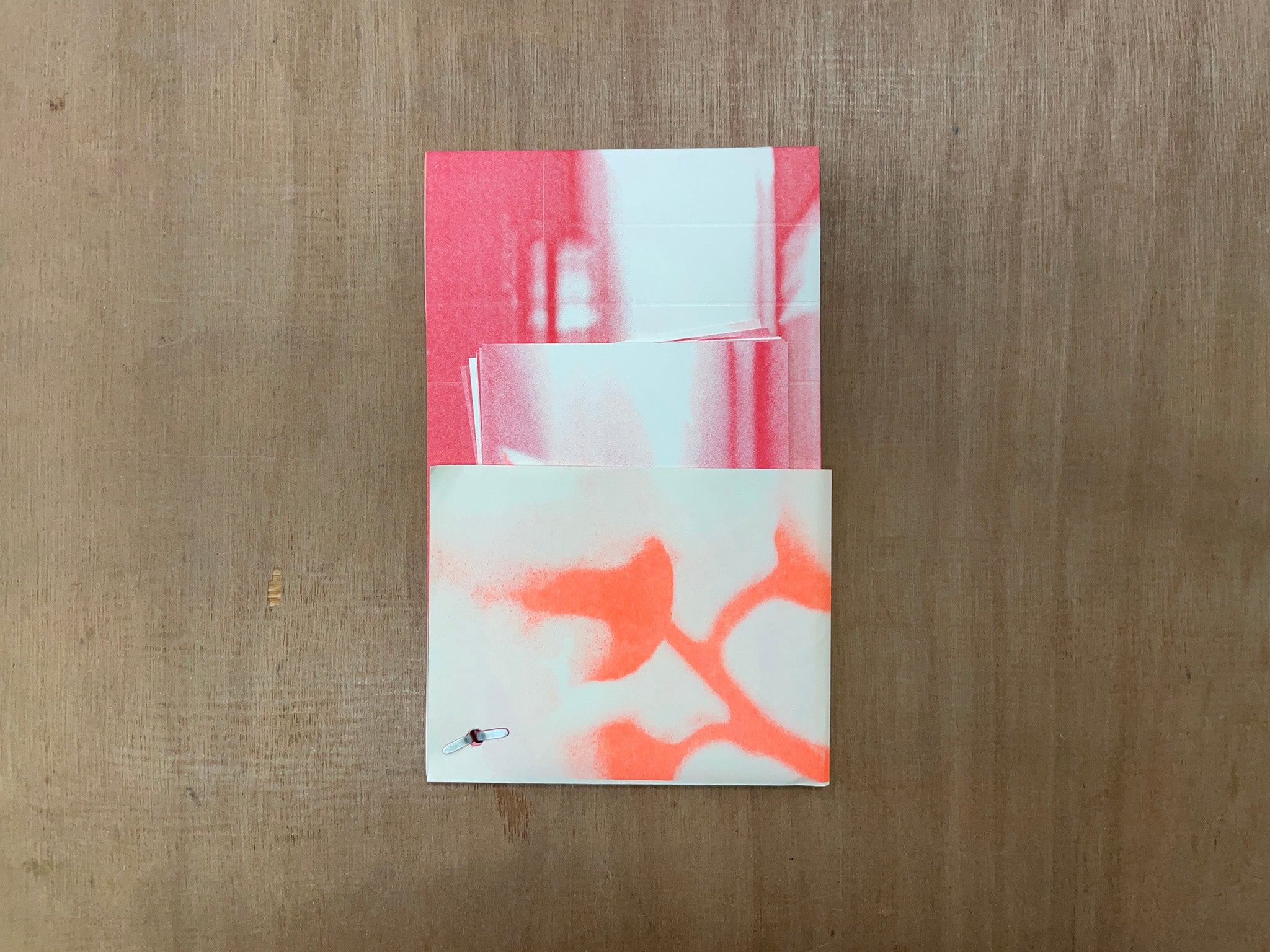 BIRDCAGE by Alex Mah & Ilana Waniuk – Good Press — good books & more