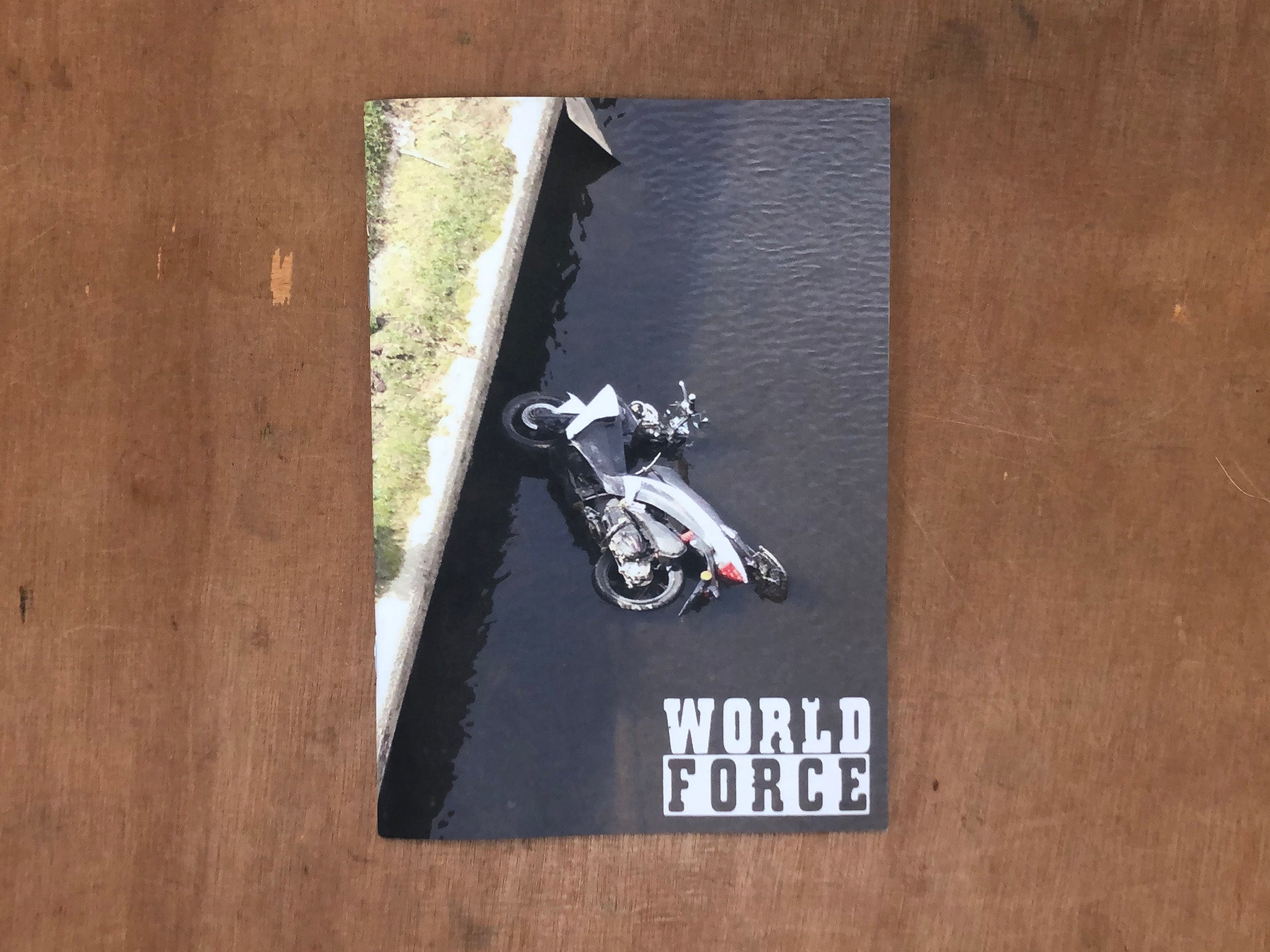 WORLD FORCE by Sam Waller – Good Press — good books & more