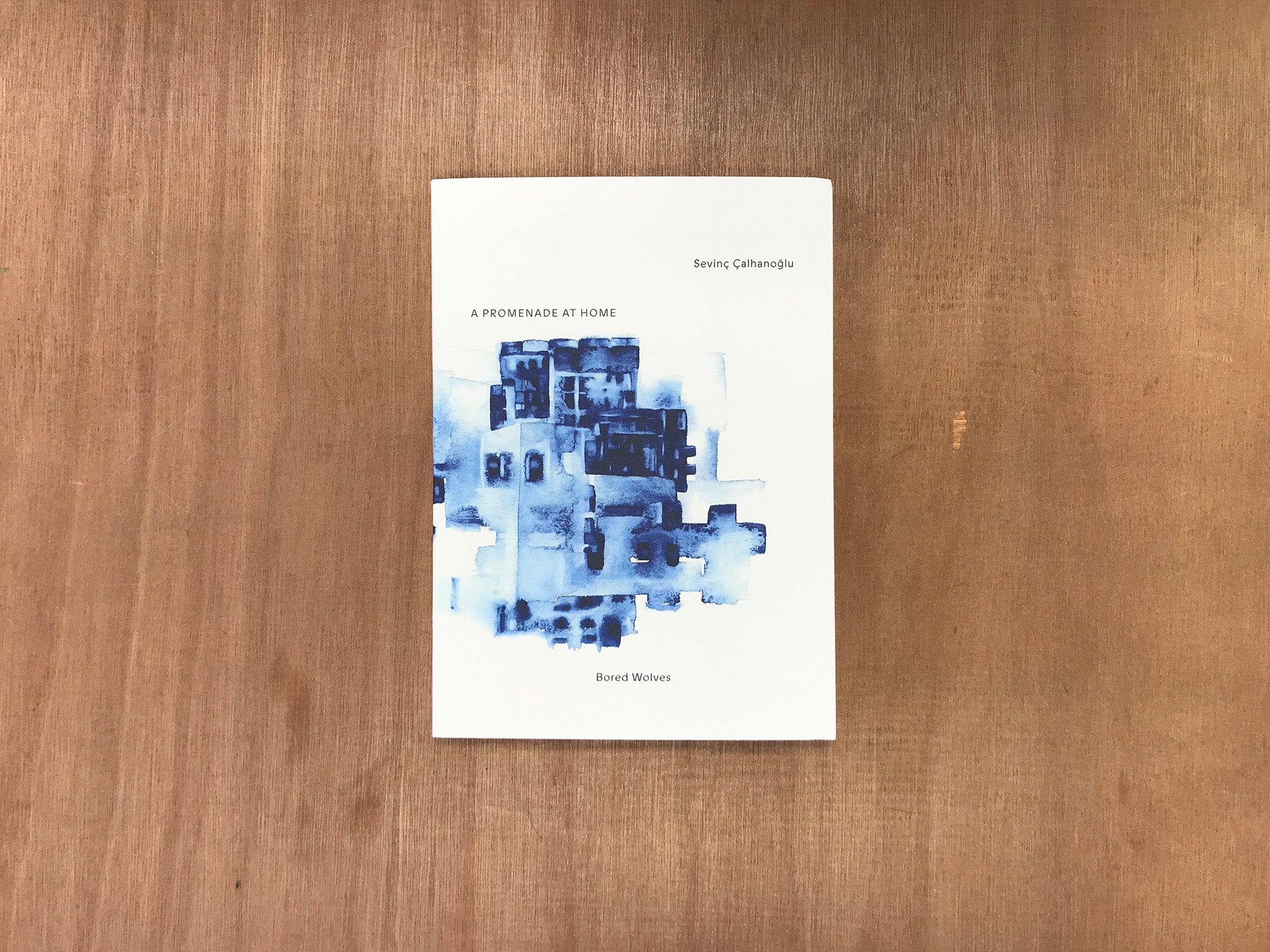 A PROMENADE AT HOME by Sevinç Çalhanoğlu – Good Press — good books & more