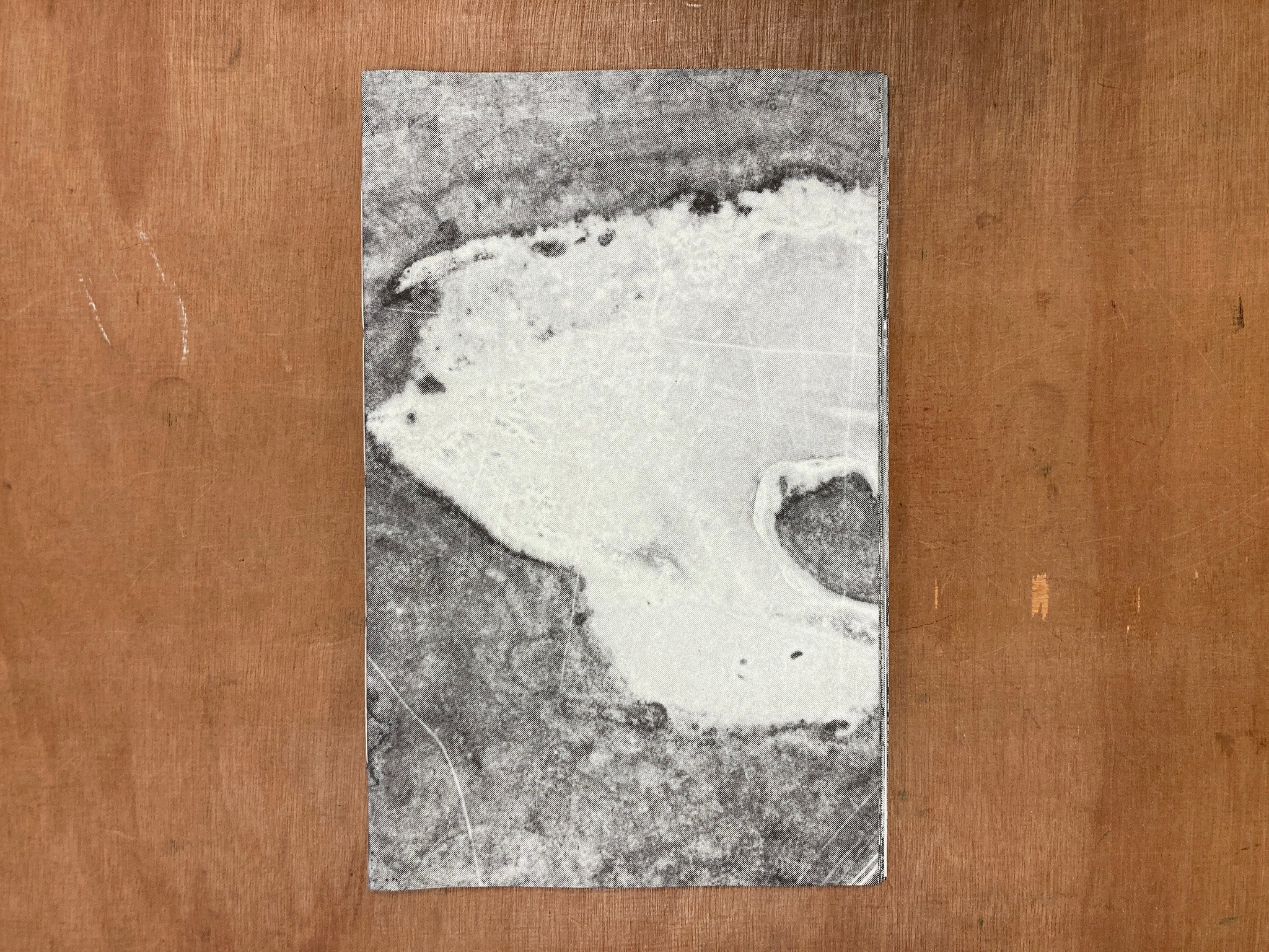 INTO WANDERER LONELY by Samuel Brzeski – Good Press — good books & more