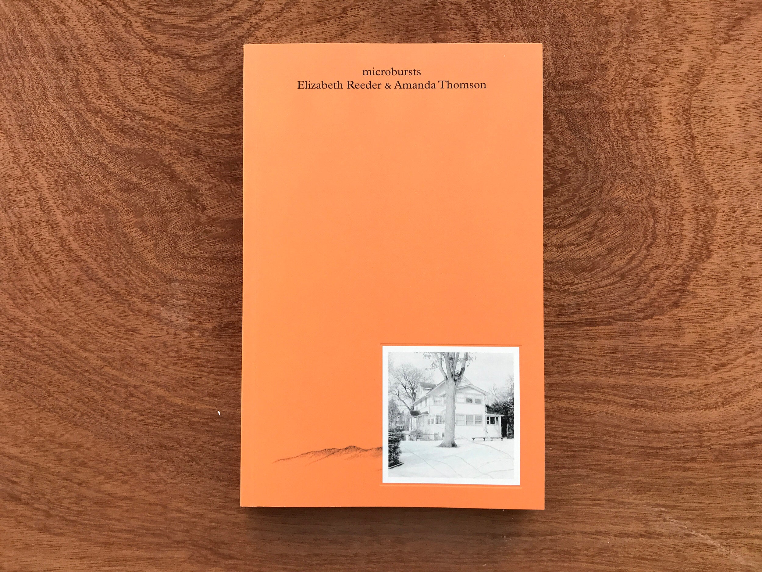 MICROBURSTS by Elizabeth Reeder and Amanda Thomson – Good Press — good ...