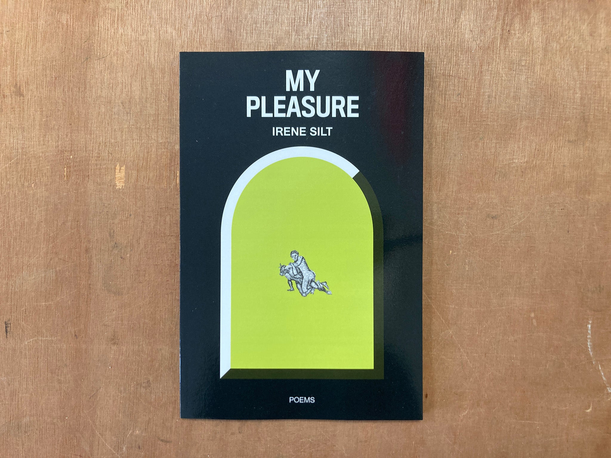 MY PLEASURE by Irene Silt – Good Press — good books & more