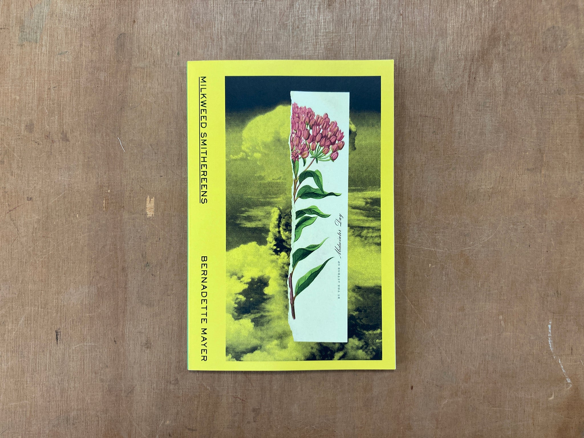 Milkweed Book In Person: Lauren Russell Book Launch At Milkweed Books