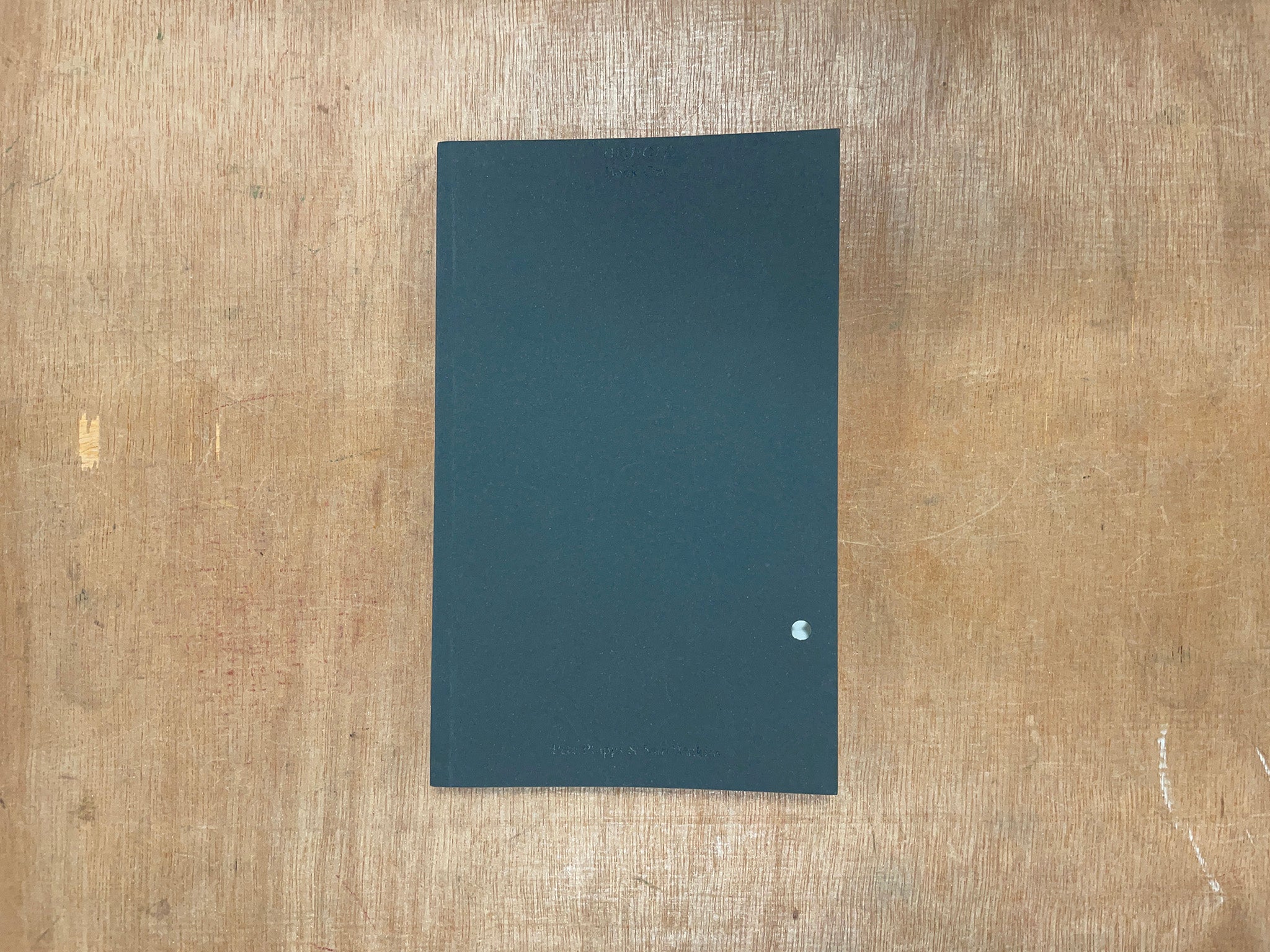 (W)HOLE: BOOK ONE by Pete Phipps & Sam Watkins – Good Press — good ...
