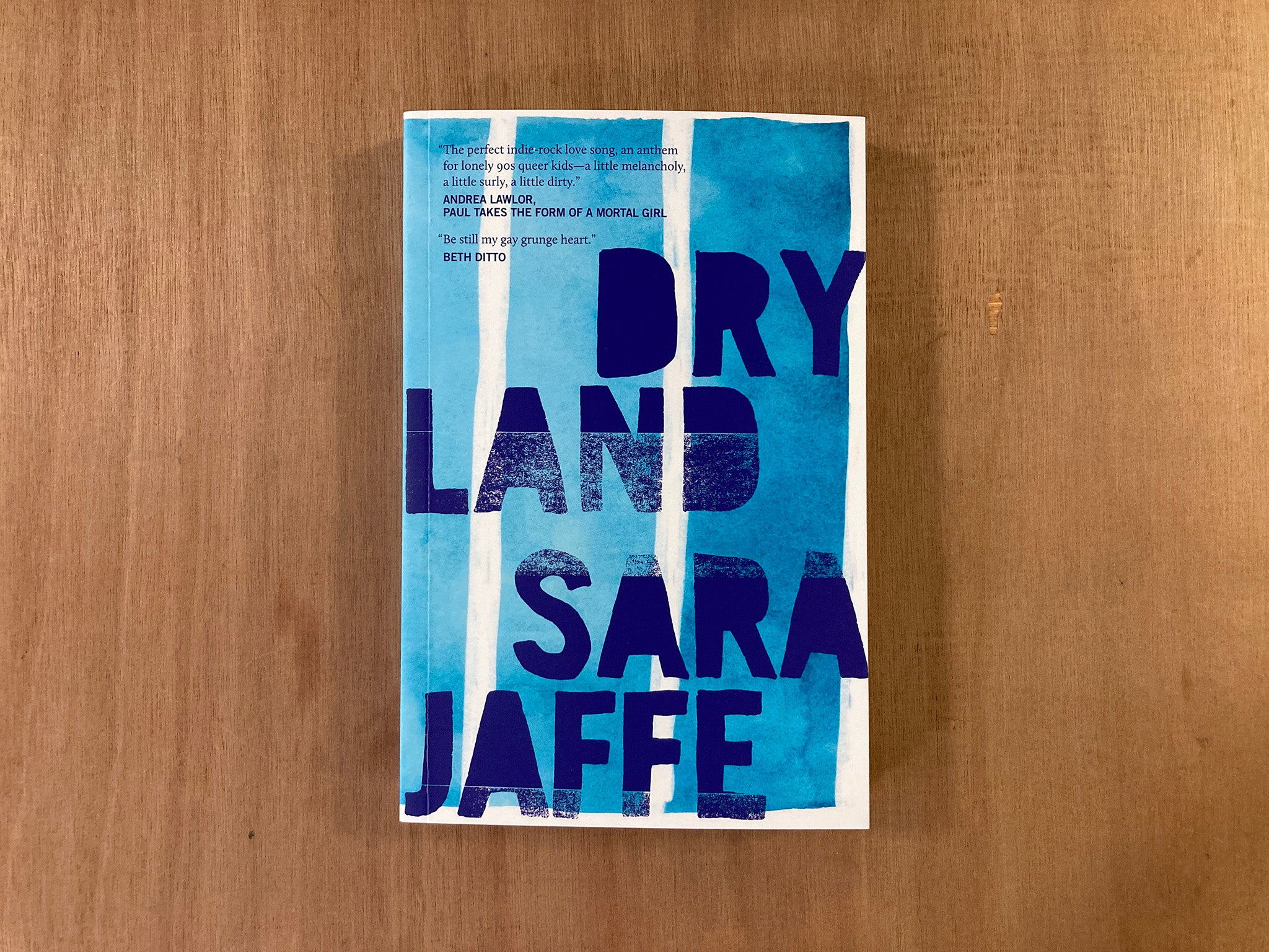 DRYLAND by Sara Jaffe – Good Press — good books & more