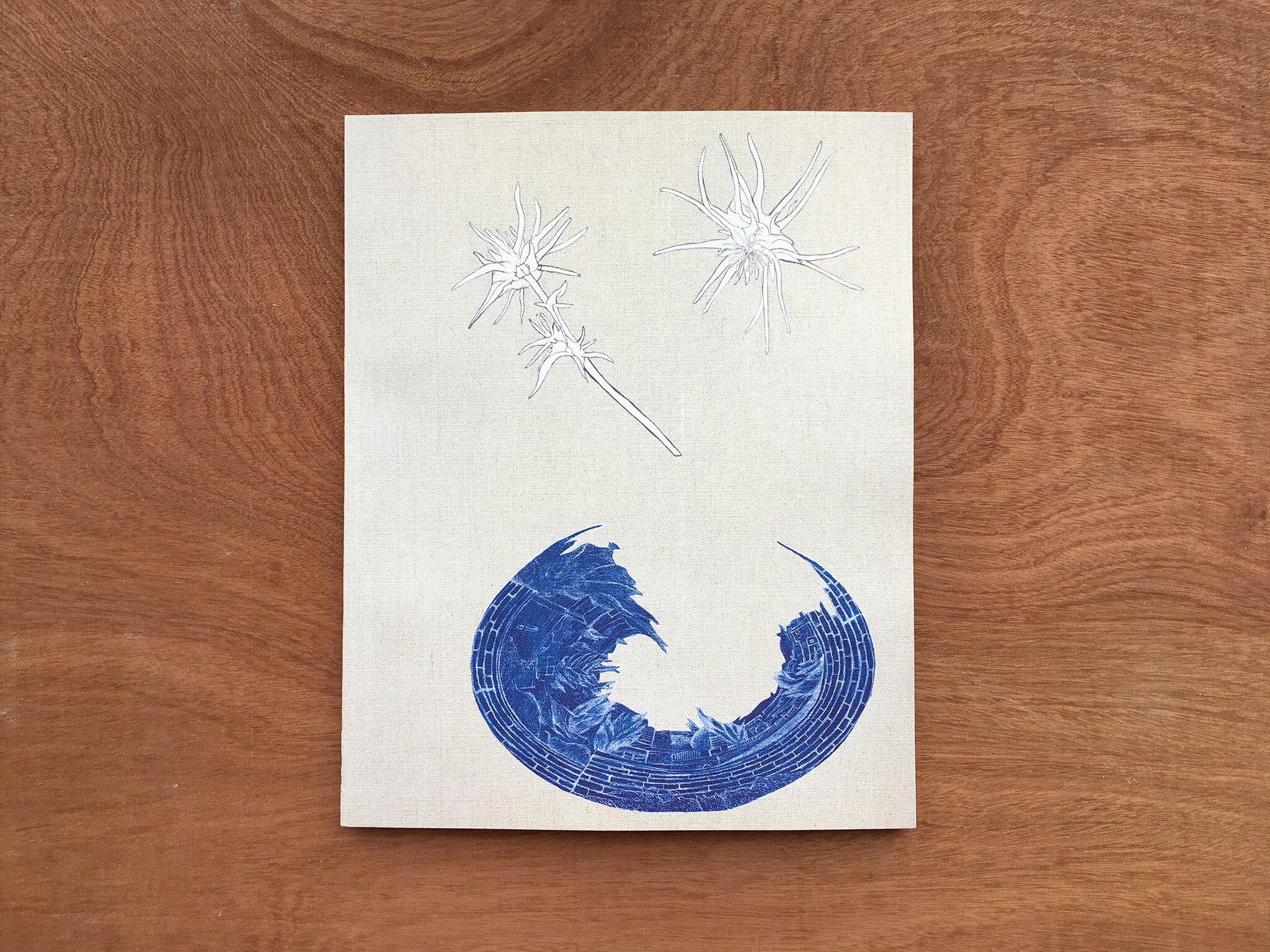 ANAMORPHOSIS by Praneet Soi – Good Press — good books & more