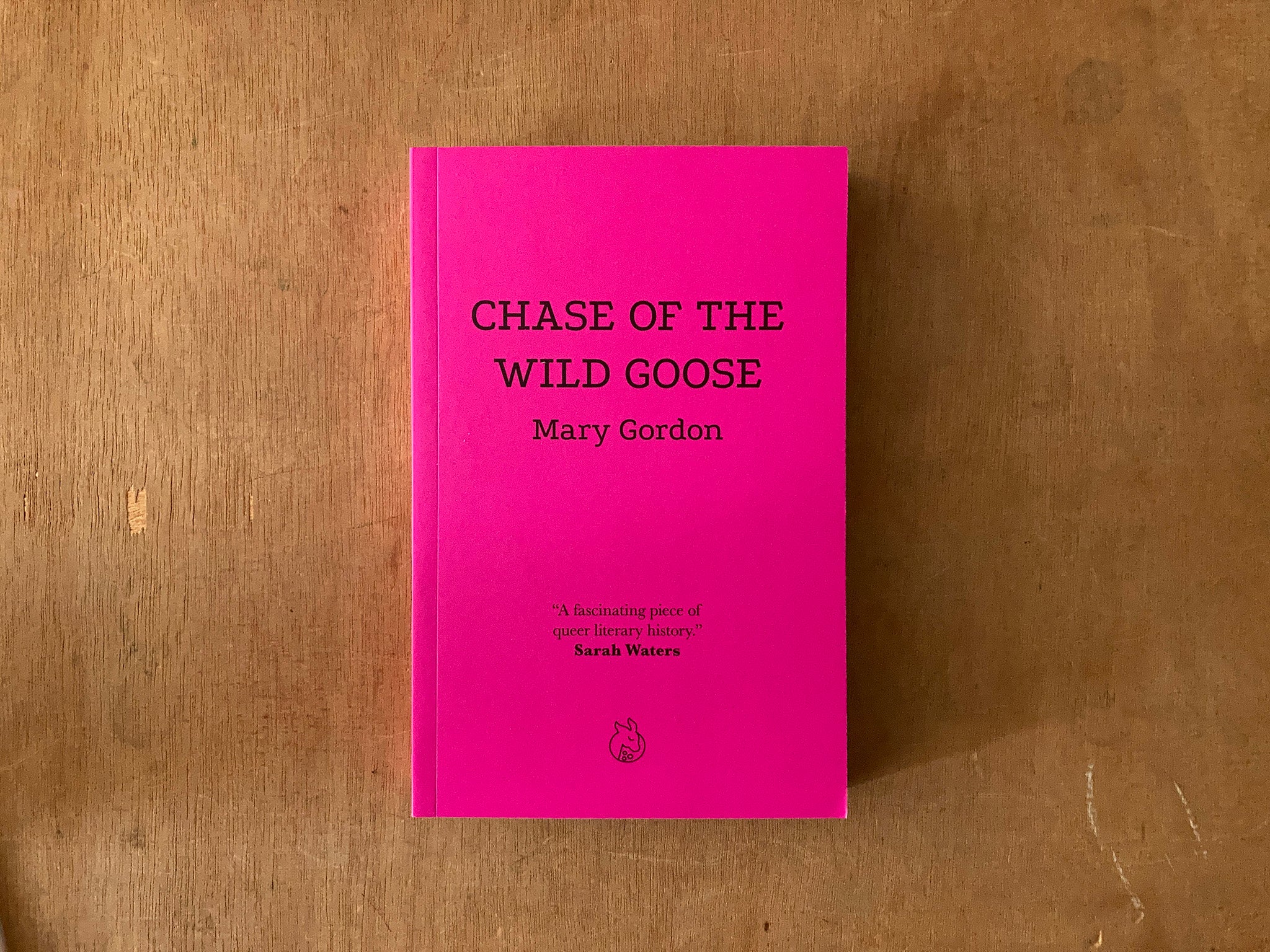 CHASE OF THE WILD GOOSE by Mary Gordon – Good Press — good books & more
